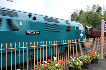 Locomotive Photo Reference Collection