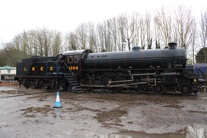 LNER Thompson Class B1: 1264
